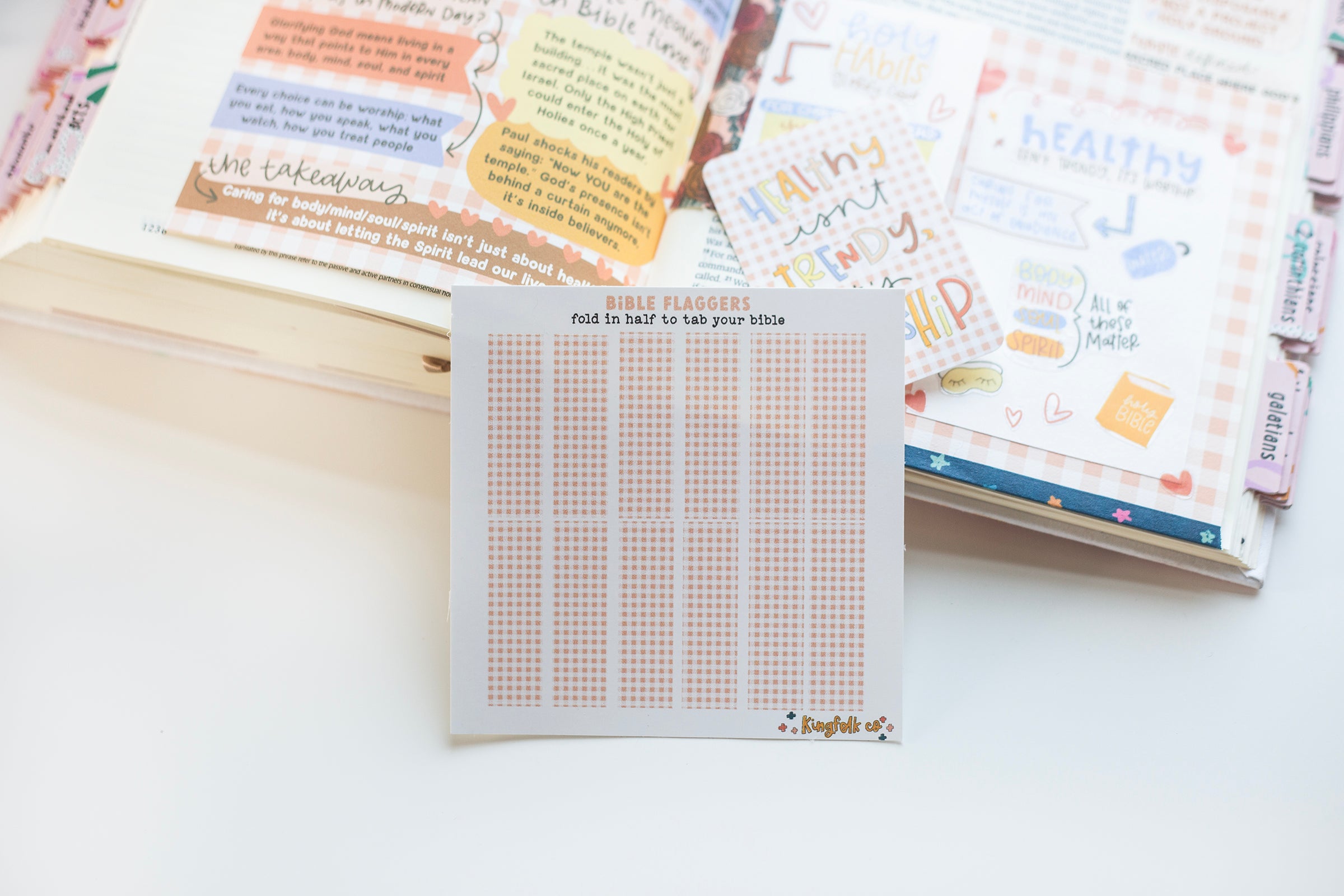 Temple Care (Peach Gingham) Bible Flaggers – Kingfolk Co